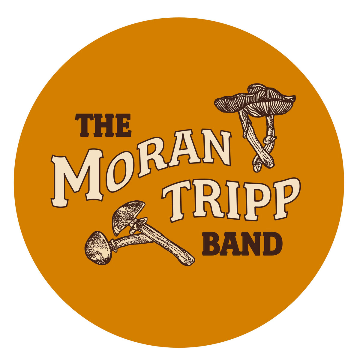 Jumpers Hole | The Moran Tripp Band
