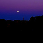 On Being | Max Cooper