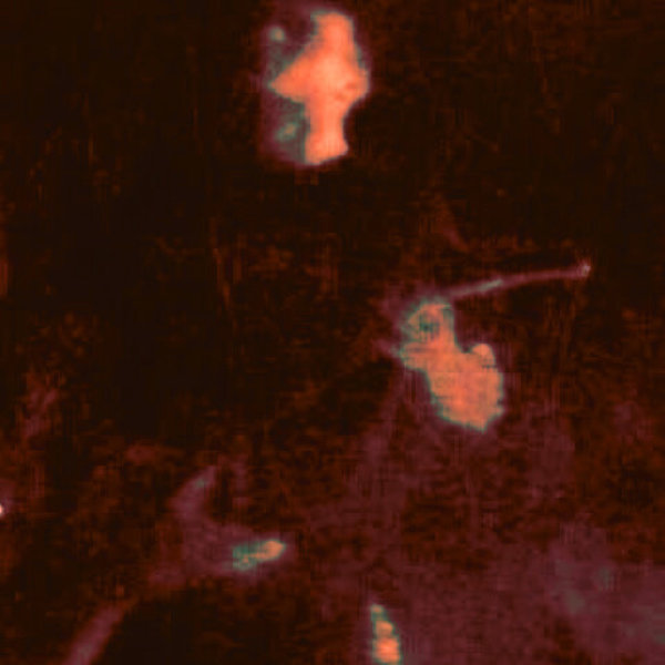 Arcanorum | Arcanorum