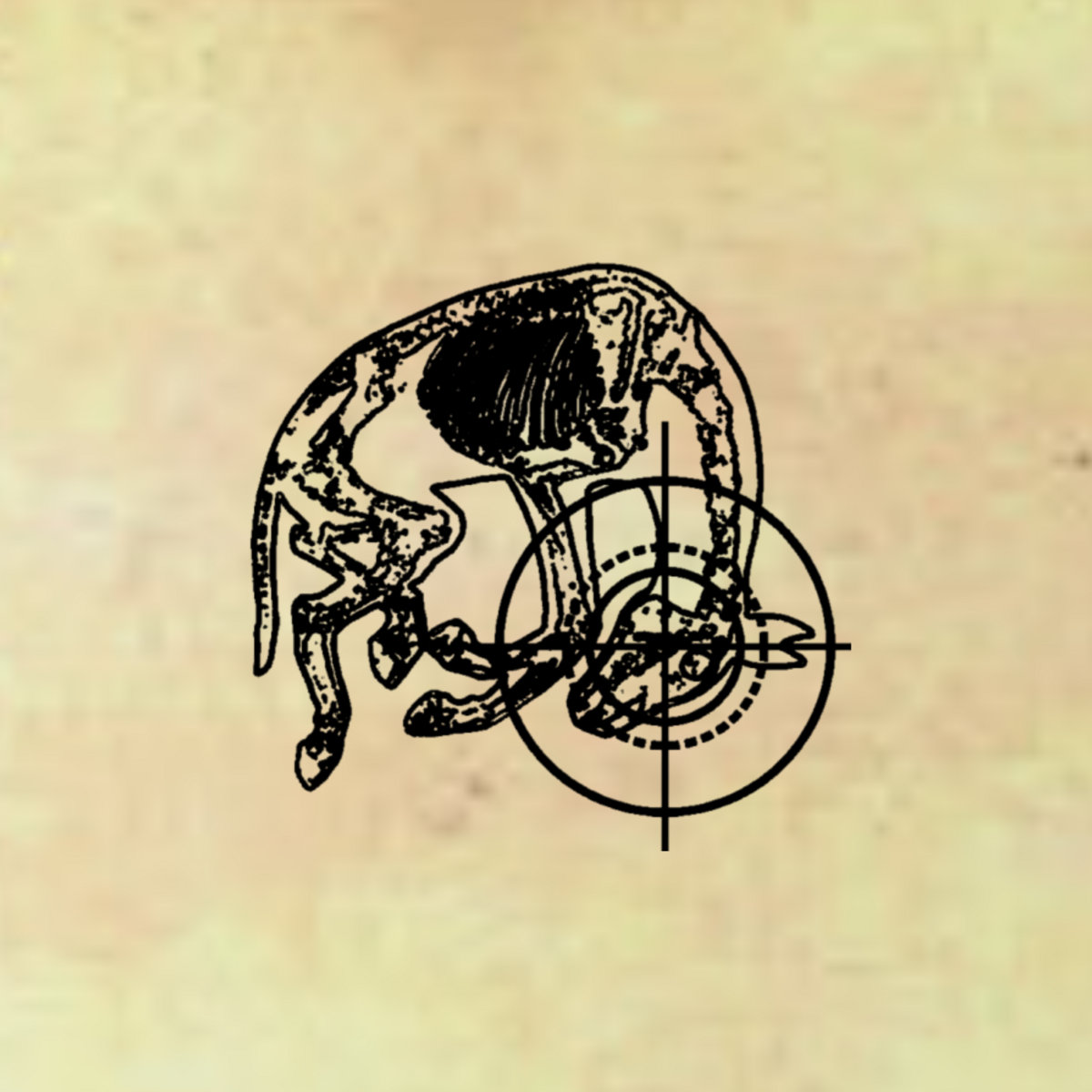 I Can't Stop Dreaming | Antrum