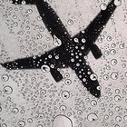 Exploding Trees & Airplane Screams | Patterson Hood