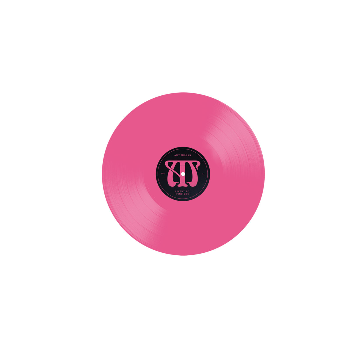 I Went To Find You | Amy Millan