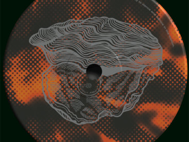 Merch | Kalahari Oyster Cult