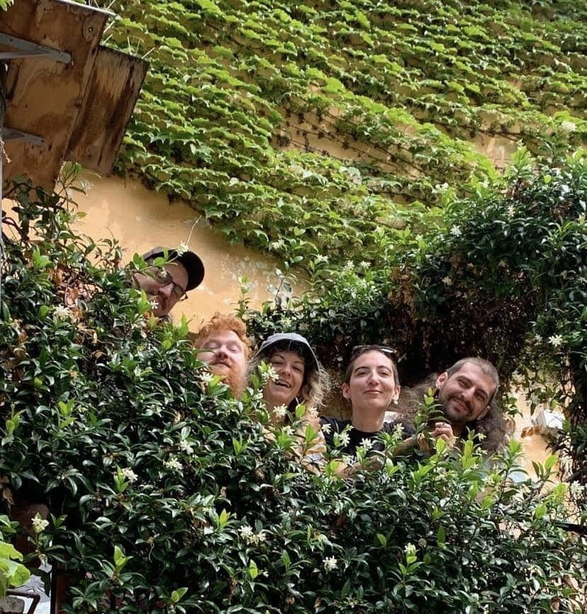 Növények országa | Palánta