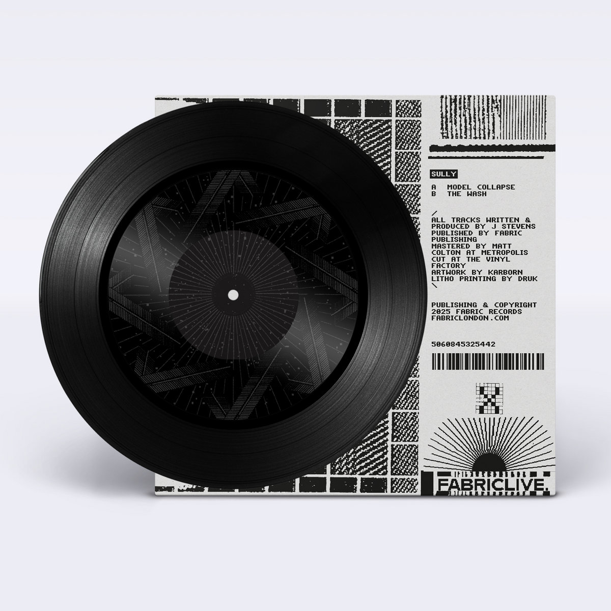 Model Collapse | Sully