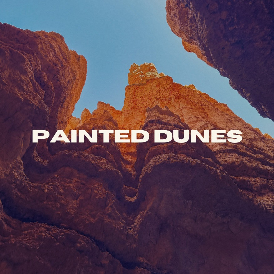 2AM to Málaga | Painted Dunes