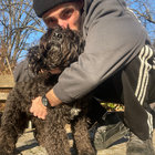 MSMSMSM | SOPHIE | Numbers