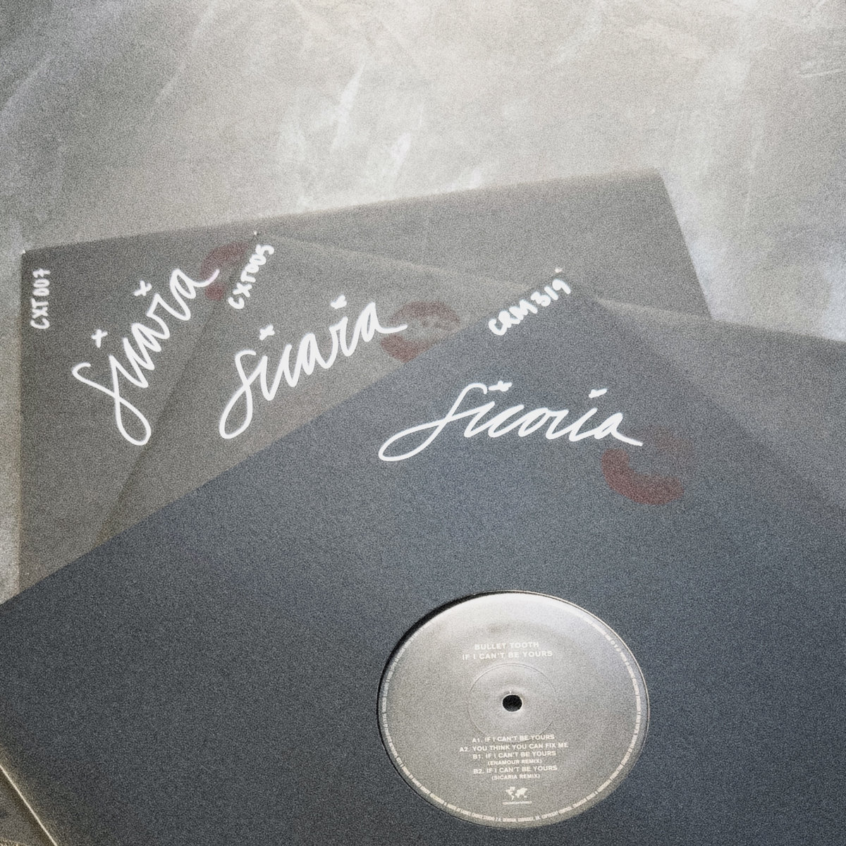 EXCLUSIVE HAND-SIGNED VINYL | SICARIA