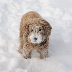 ULTRAKILL: PANDEMONIUM/WAR | Heaven Pierce Her