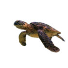 Rain World - Songs and Rhythms | James Primate