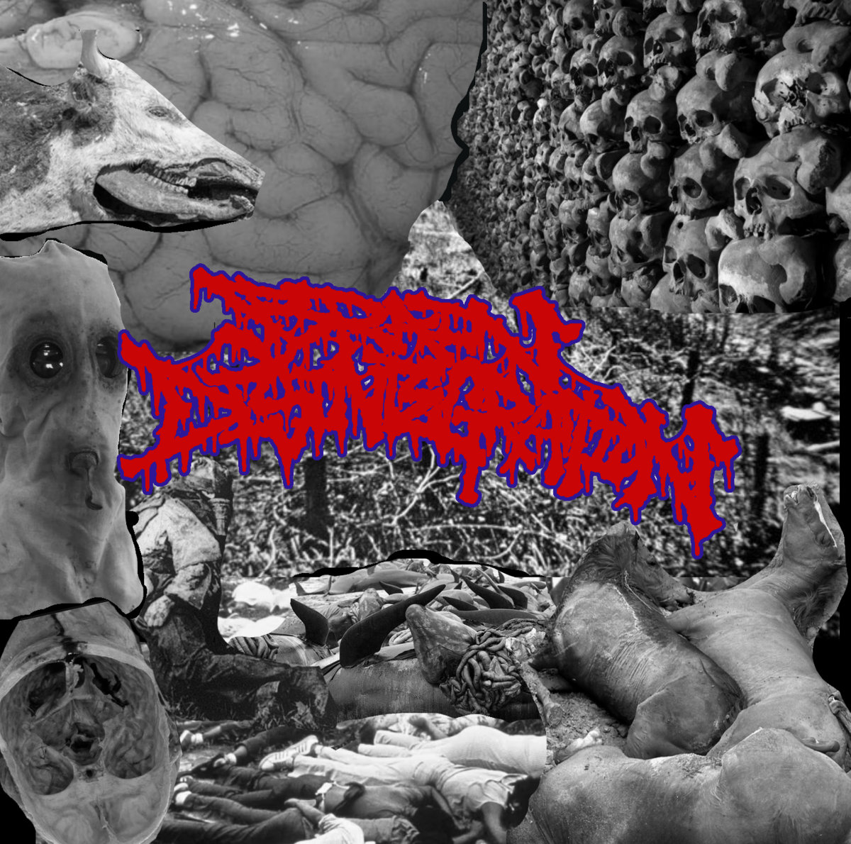 COMPLETE CEREBRAL REGURGITATION | Brain Disintegration