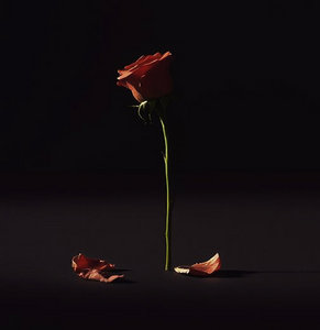 Music | Daniel Reimer