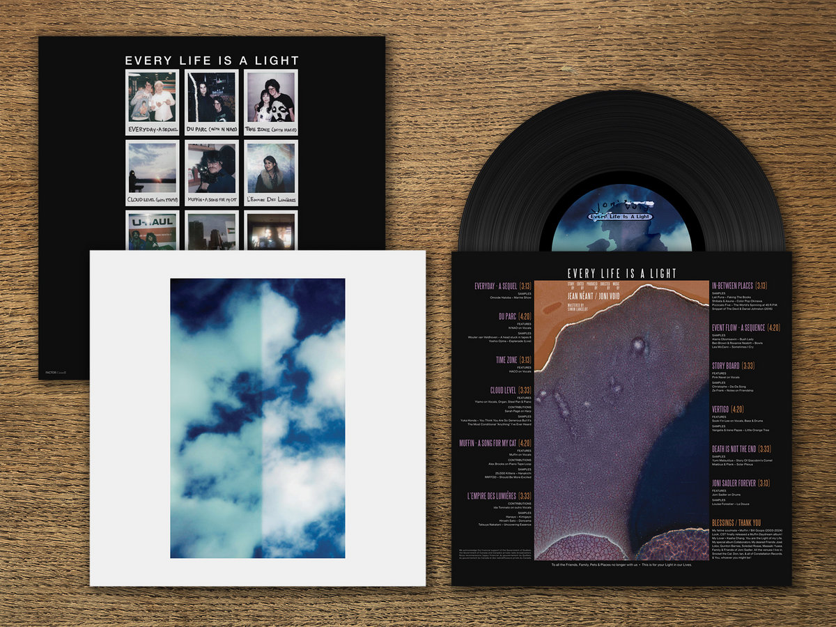 Every Life Is A Light | Joni Void