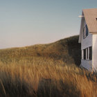 Way Back When | Anadama