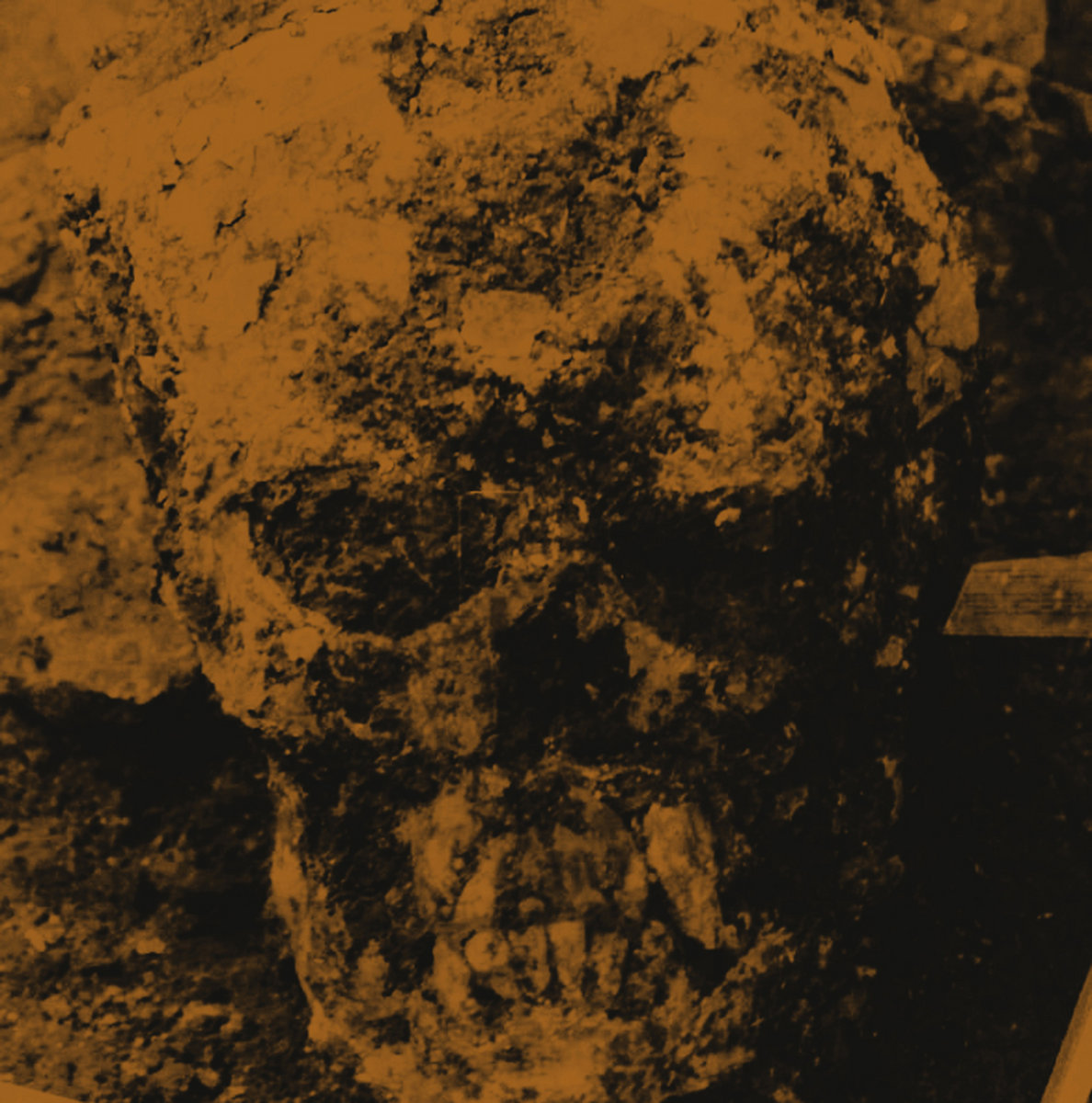 Rotting Rehearsal | Rotting Grave | Black Death Order