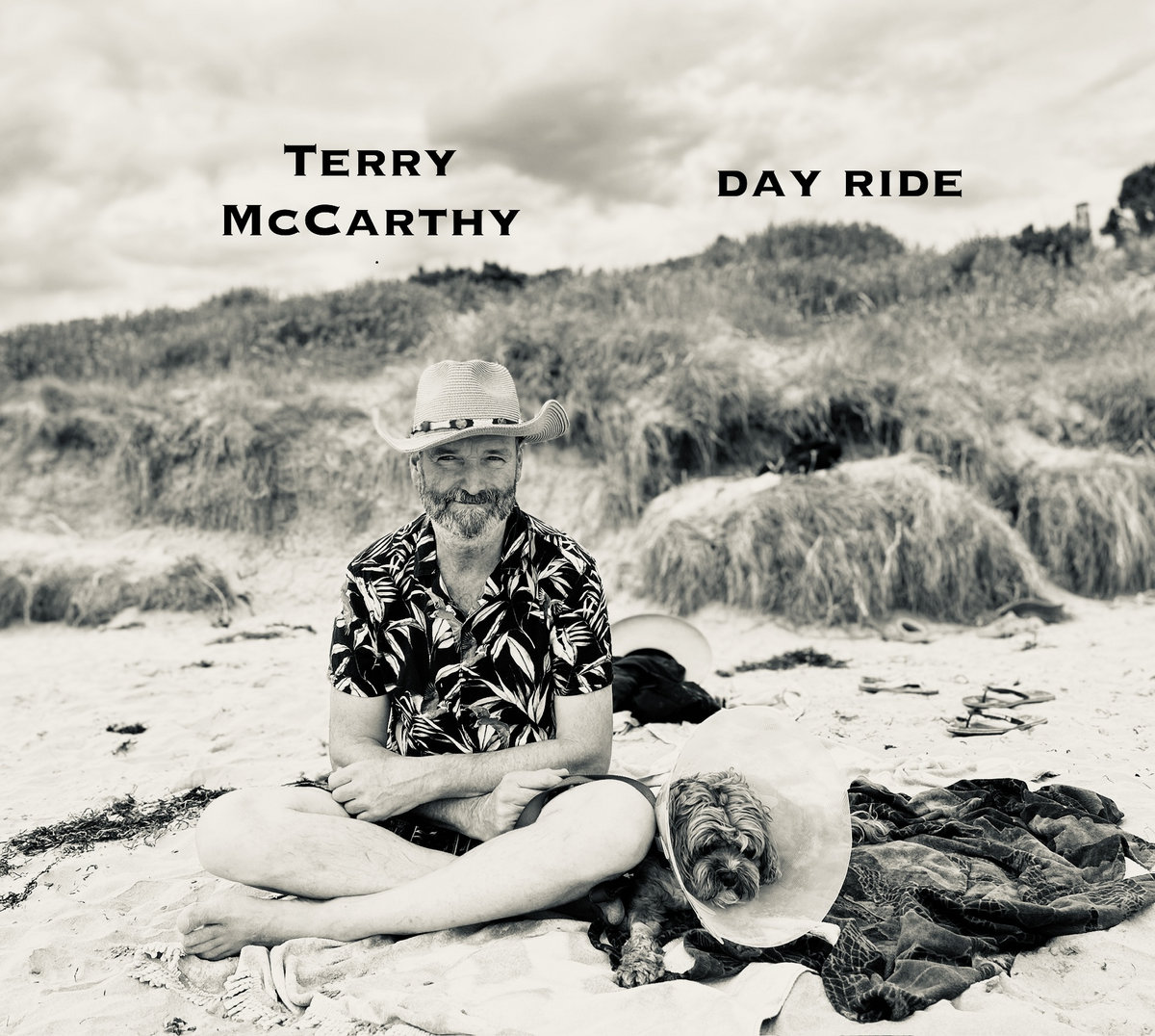 Ocean Meets The Sands Motel | Terry McCarthy