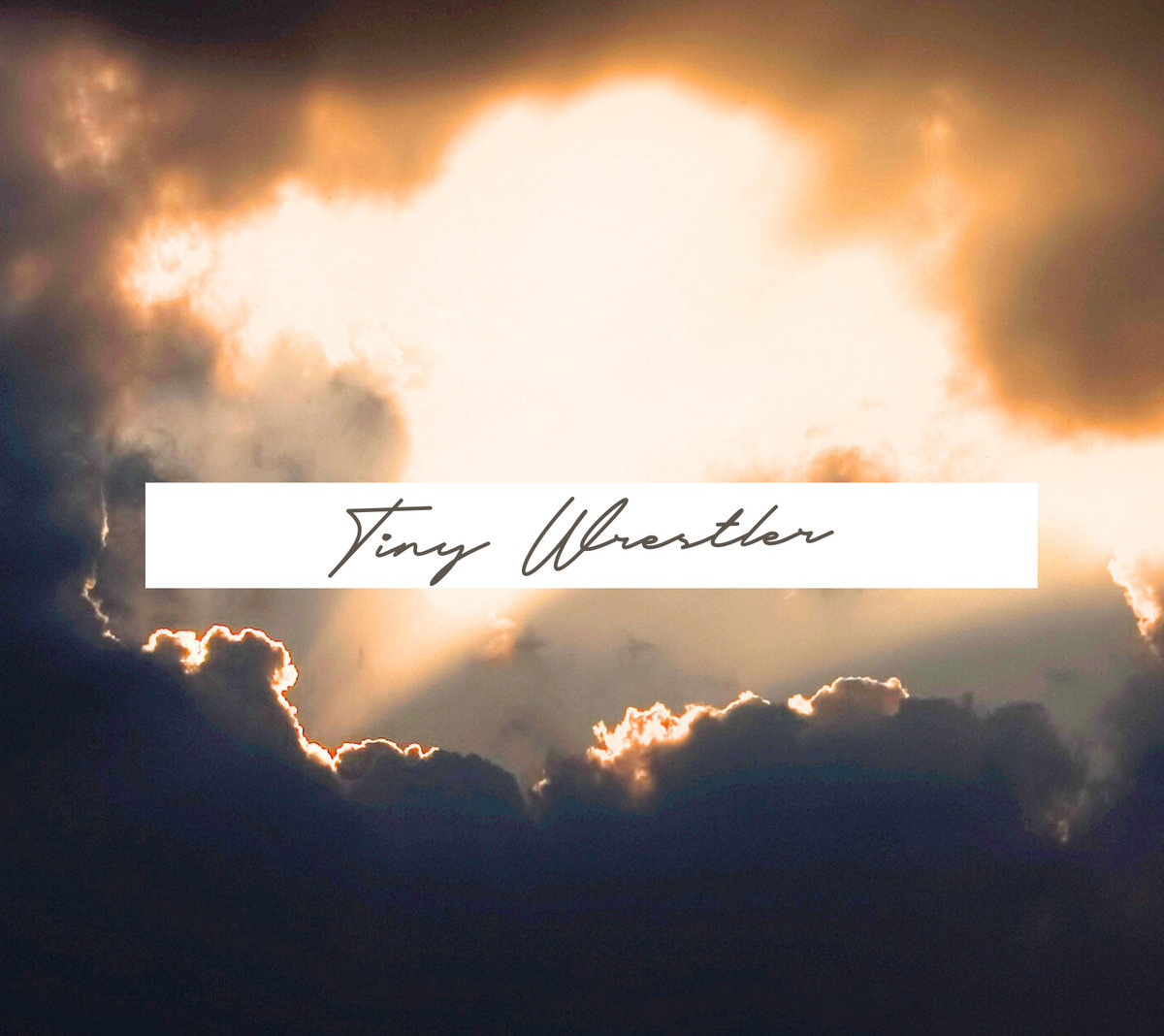 Tiny Wrestler | Tiny Wrestler
