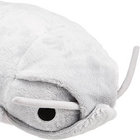 GOODNIGHT HYPNOPOMP | STOMACH BOOK