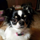 Groove Immersion | Steve Roach