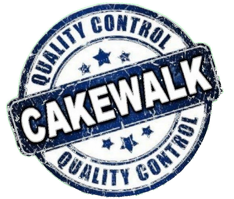 A Tornado In Brooklyn | Ali Lafayette Rhea