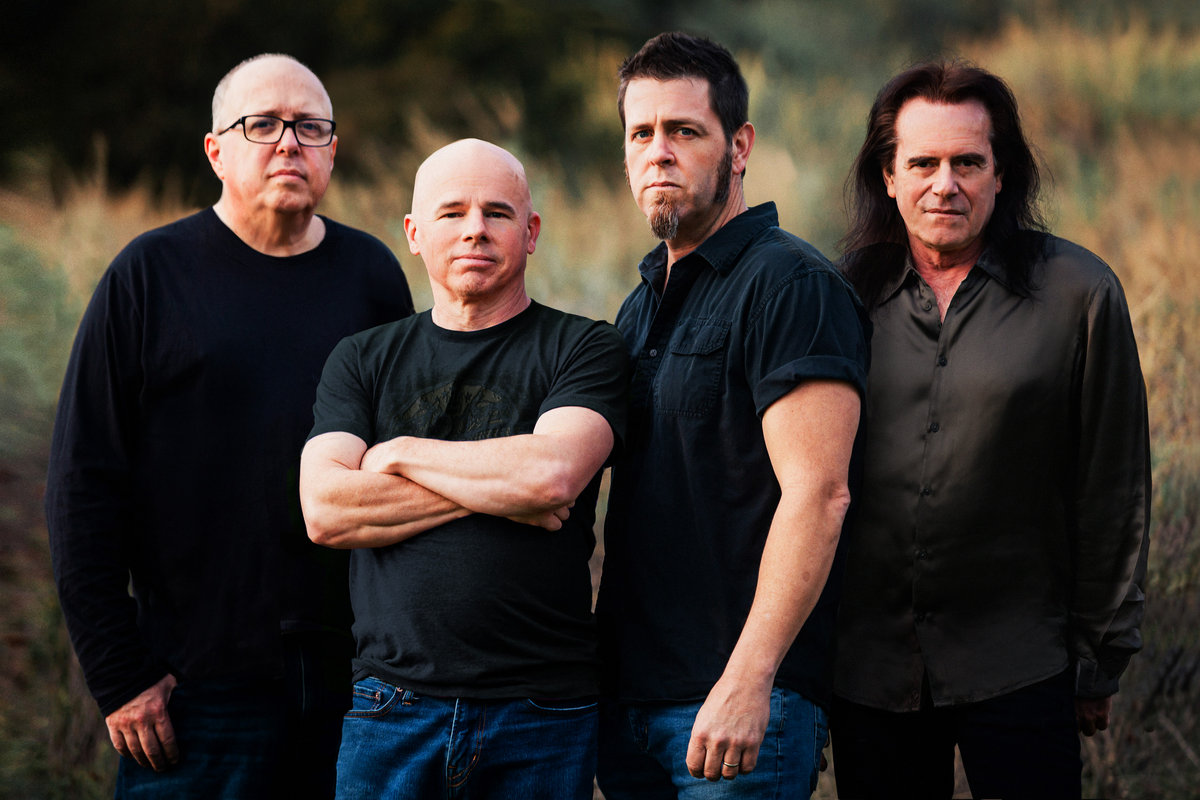 Friend of All Creatures | Pattern-Seeking Animals