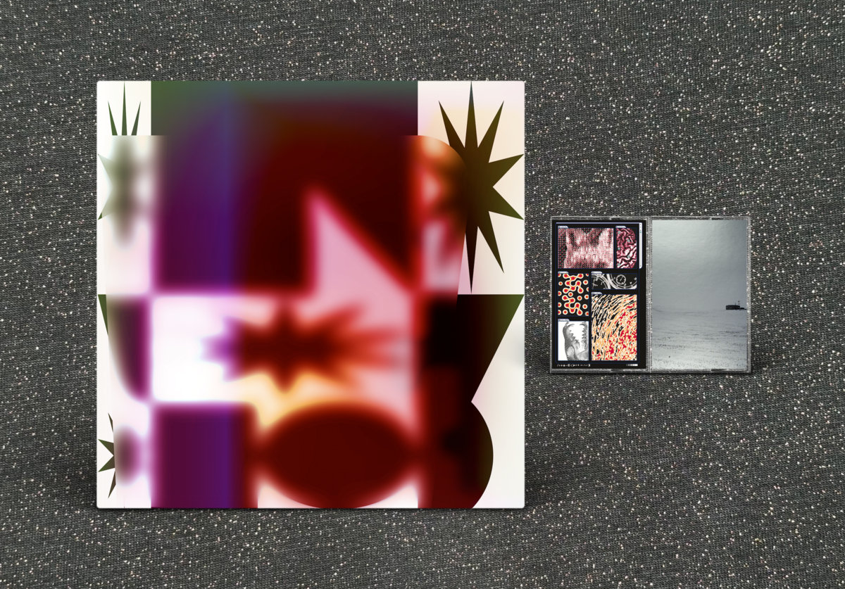 Decomposition: Fox on a Highway | Saapato | Constellation Tatsu