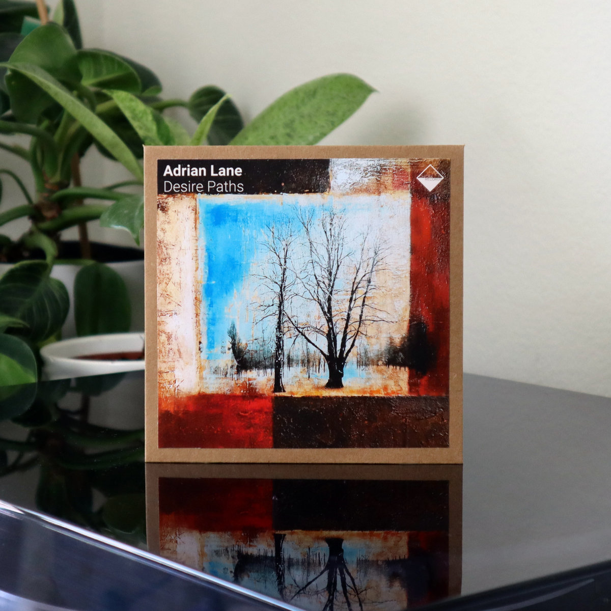 Desire Paths | Adrian Lane | Chitra Records