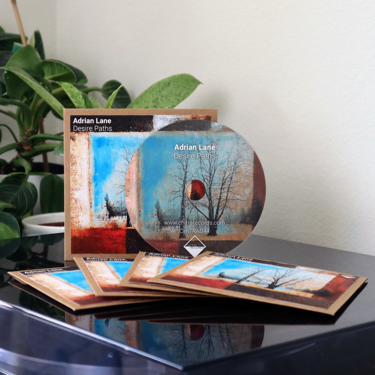 Desire Paths | Adrian Lane | Chitra Records
