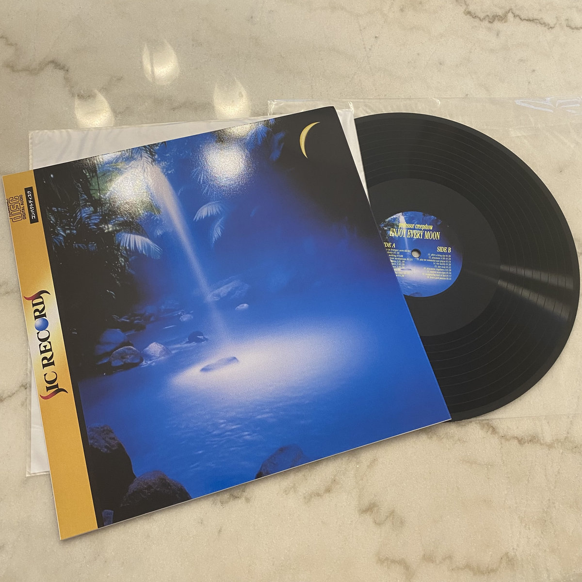 LIMITED EDITION ENJOY EVERY MOON VINYL | PLANET SIC