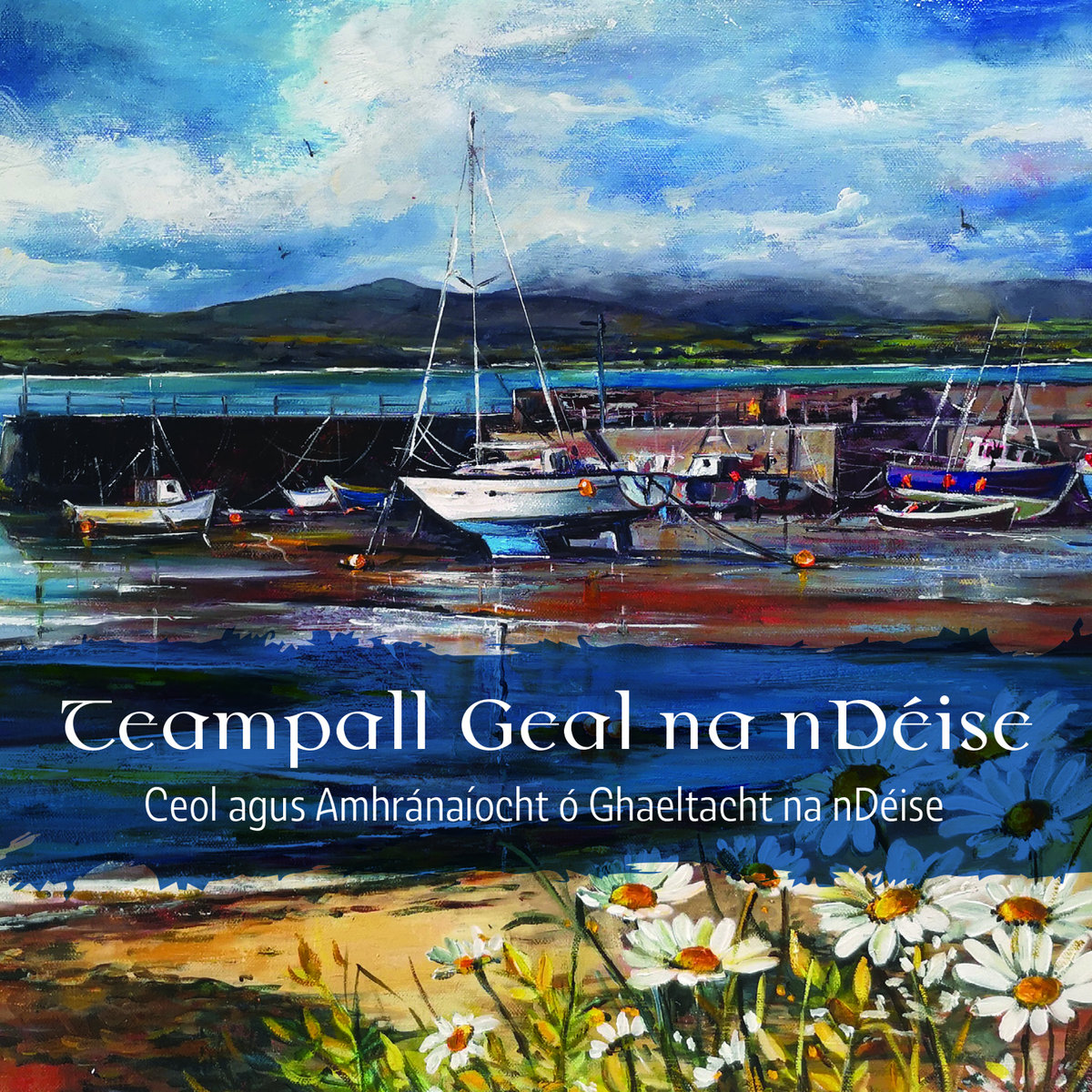 Sara's Fancy, Seán sa Cheo - Ciarán agus Domhnall Ó Gealbháin ...