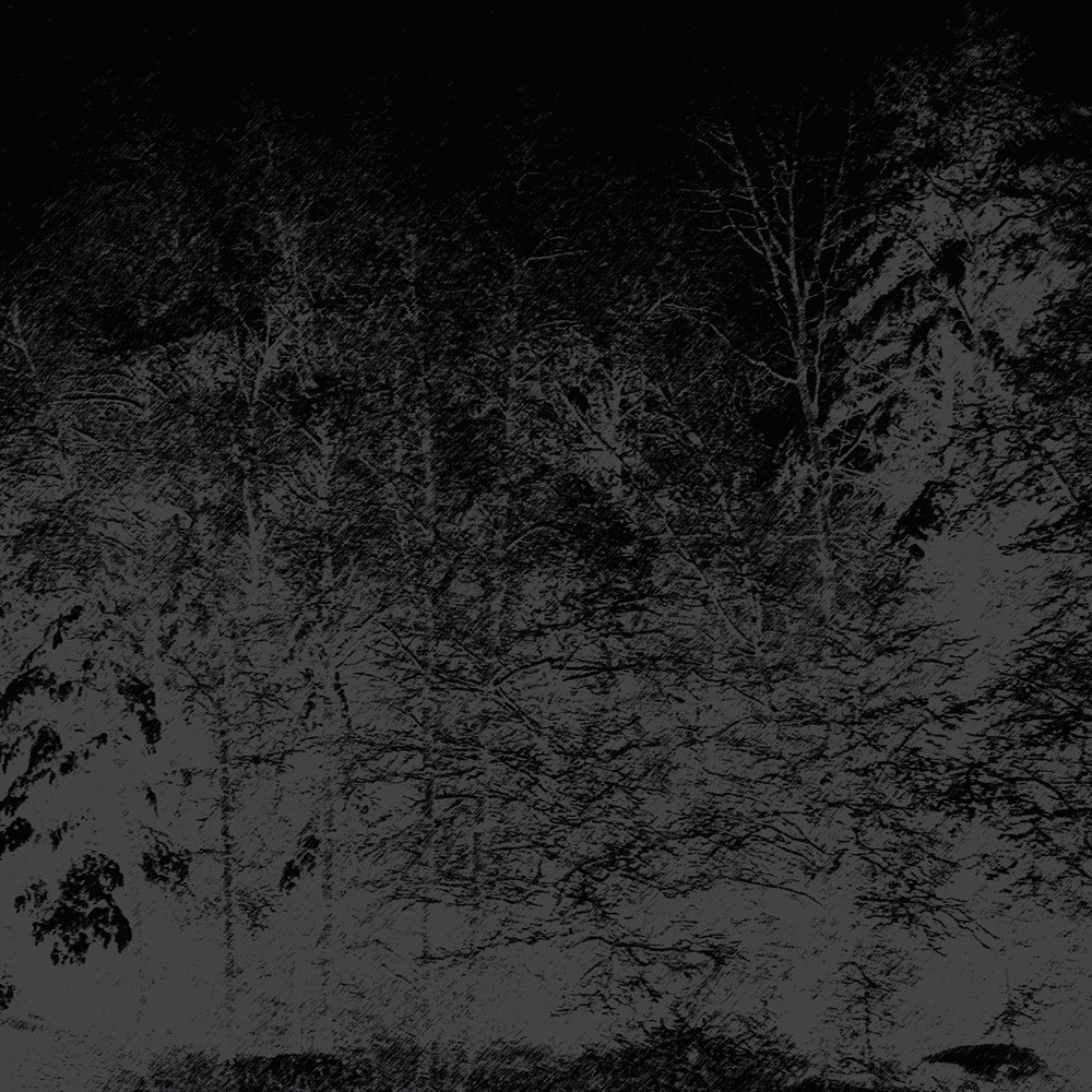 The Bleakest Shadows Come at Break of Dawn | A Void so Drear