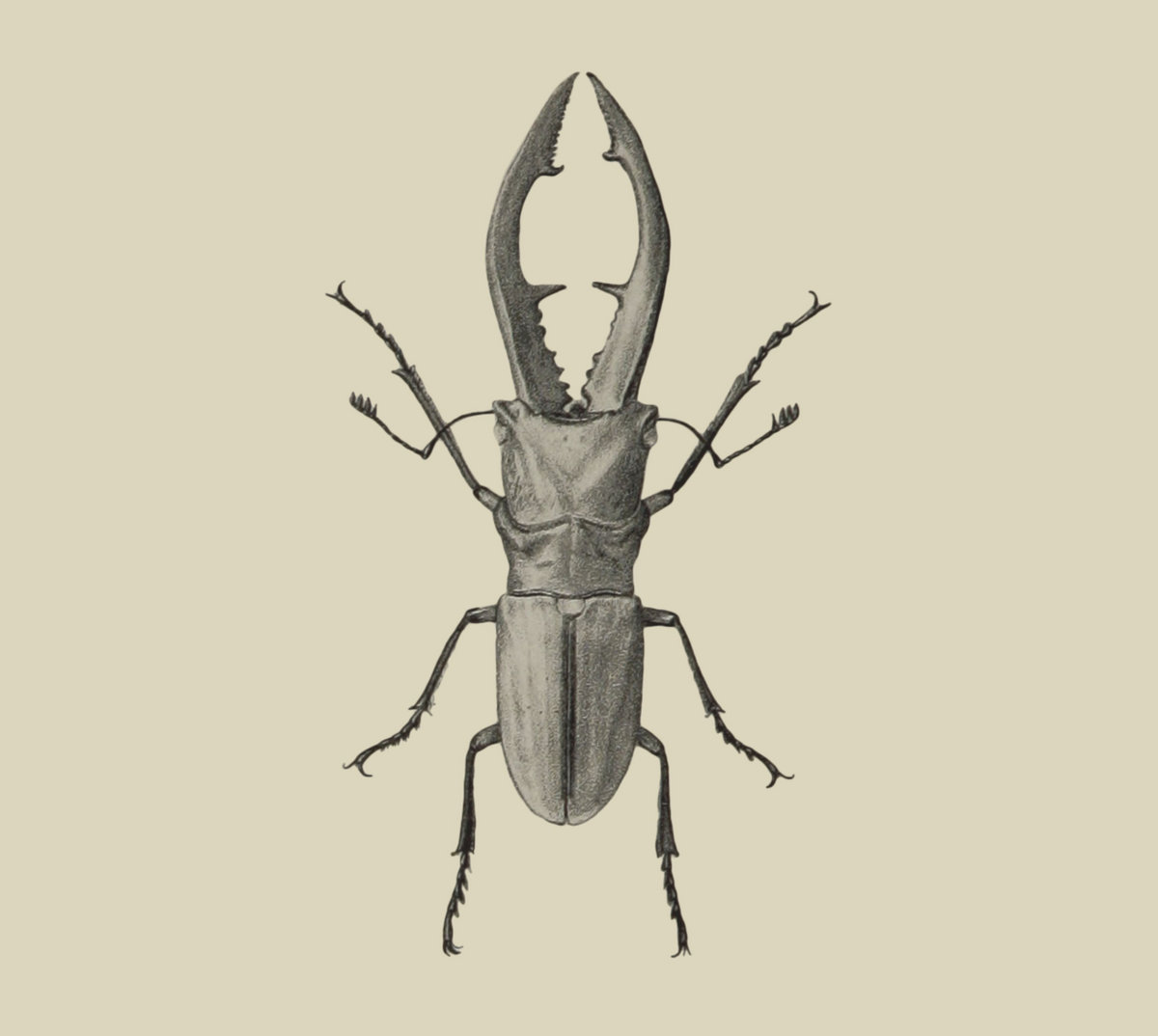 The gardens of Babylon | Enki