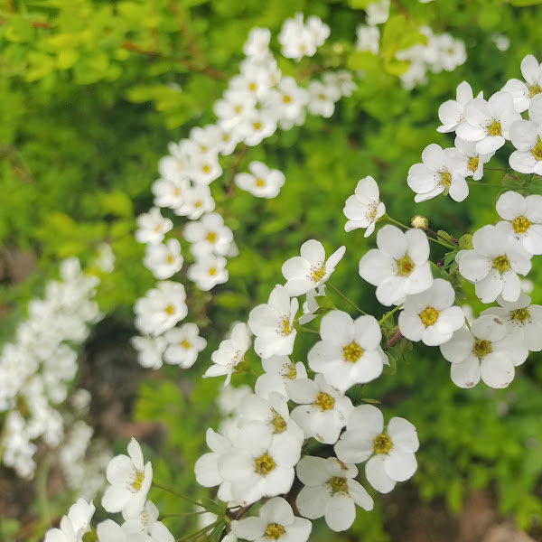 Farewell,Farewell | gemor