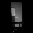 For Long Tomorrow | toe