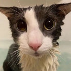 Ghostholding | venturing | Jane Remover