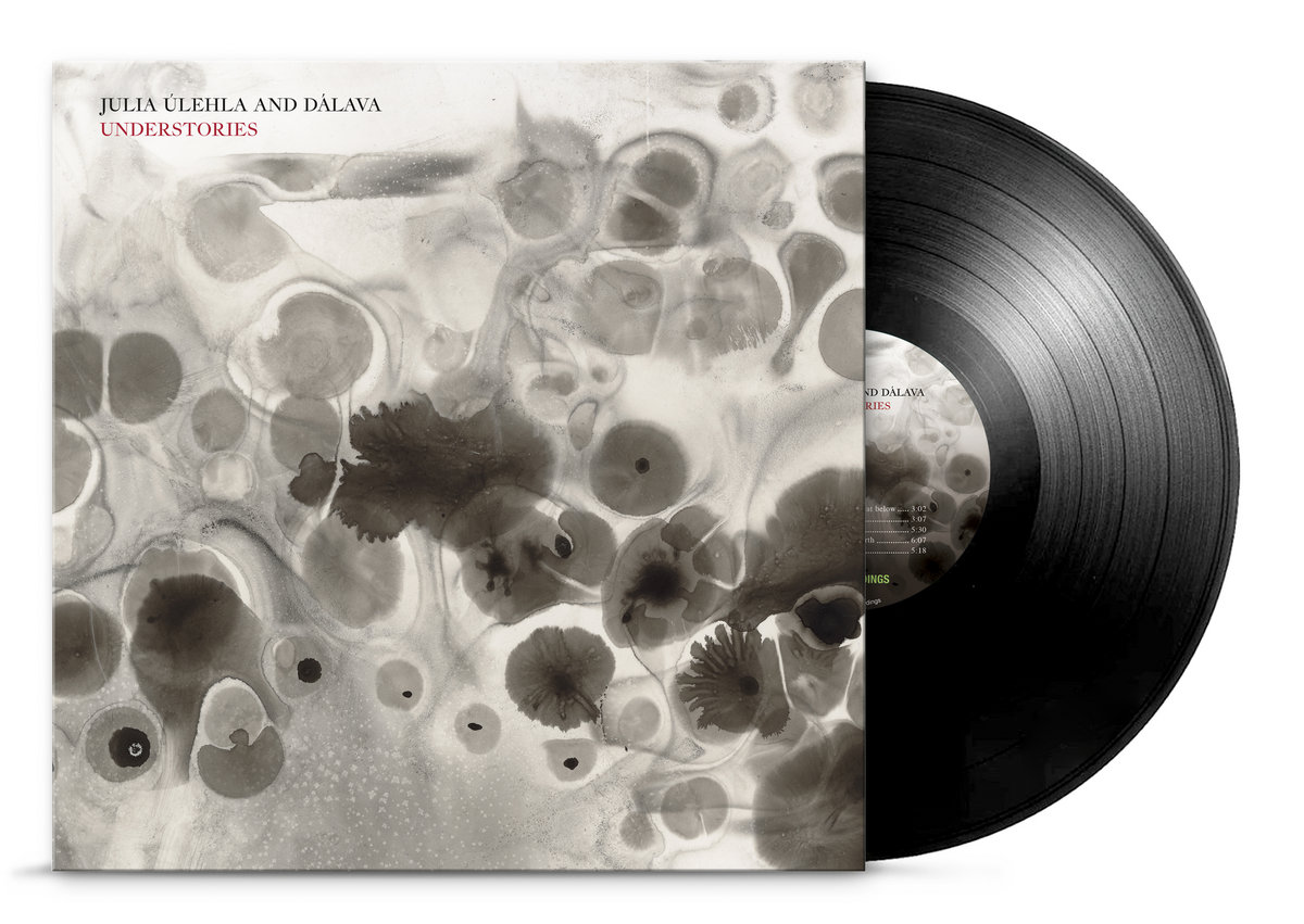 Understories | Julia Úlehla and Dálava | Dálava