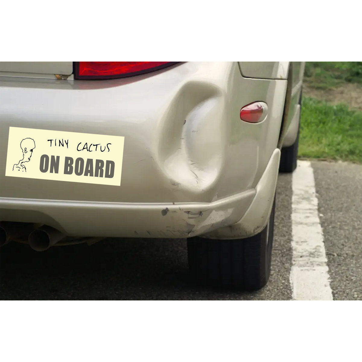 'Tiny Cactus on Board' Bumper Sticker | Horse Jumper of Love