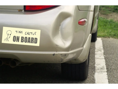 'Tiny Cactus on Board' Bumper Sticker | Horse Jumper of Love