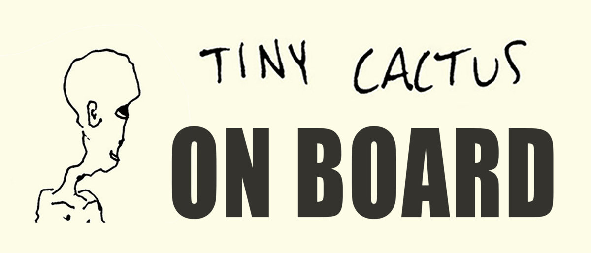 'Tiny Cactus on Board' Bumper Sticker | Horse Jumper of Love