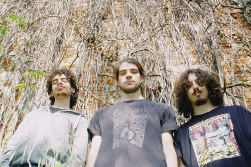 Split w/ Cranial Putrefaction | Destroy Yourself