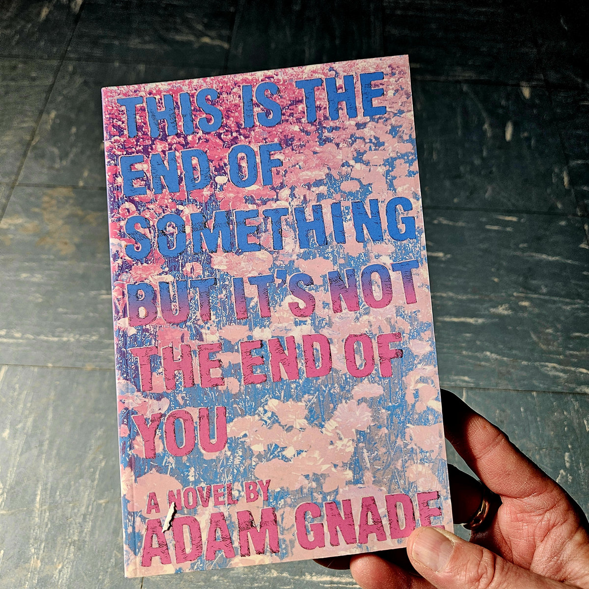 This Is the End of Something But It's Not the End of You (book) by Adam ...