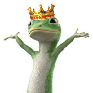 Music | king geico