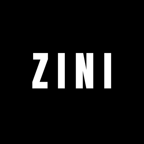 STUNNER - TEN | ZINI