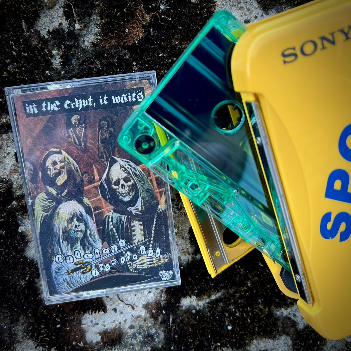 In the Crypt, It Waits | Flickers from the Fen | Sokol Keep DIY Sessions | SOKOL KEEP