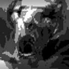 Repeater | King Buffalo