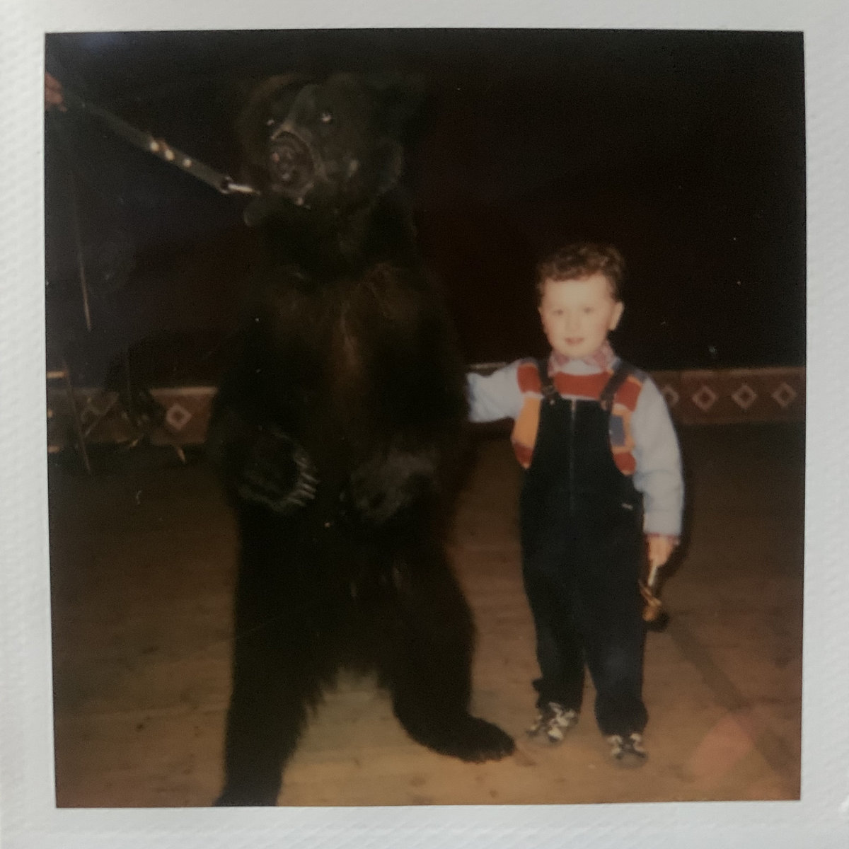 Split with Tud | nyo ho!