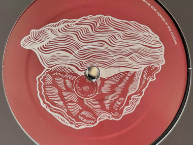 Merch | Kalahari Oyster Cult