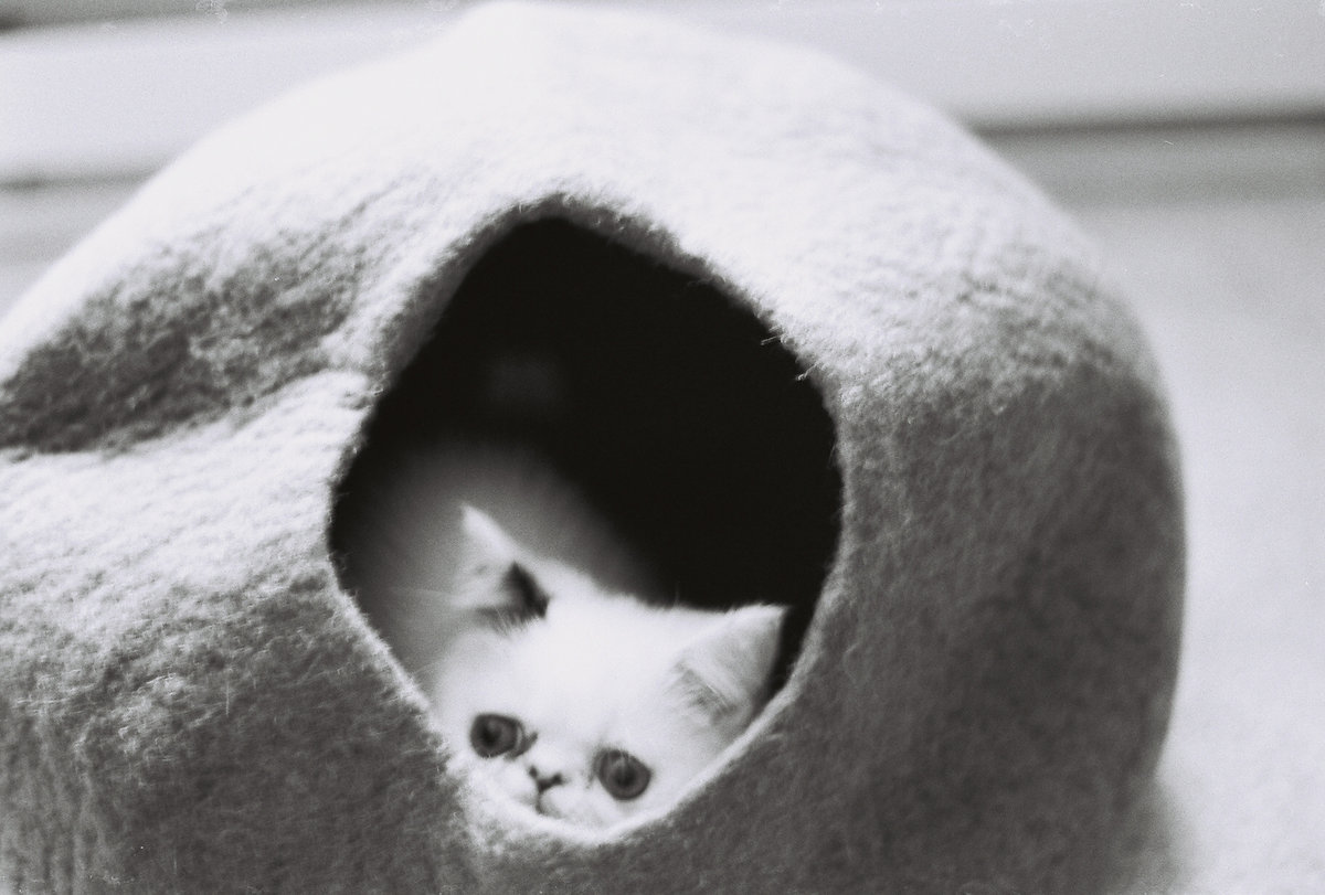 light box | Treasure Box