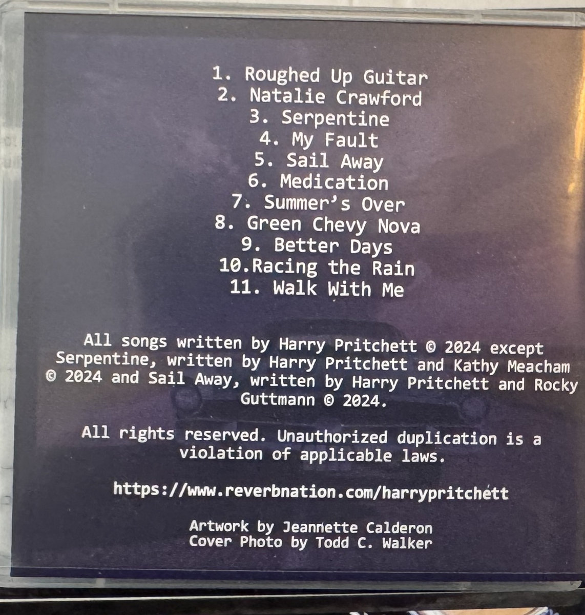 Racing the Rain | Harry Pritchett