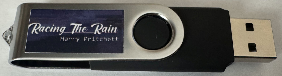 Racing the Rain | Harry Pritchett